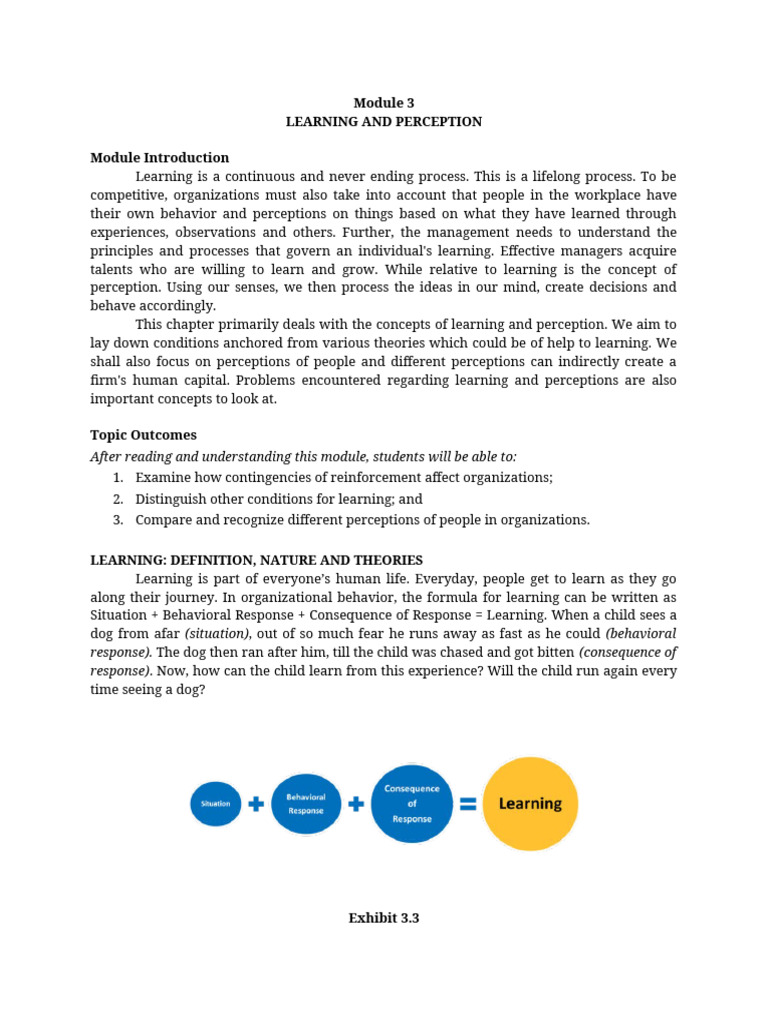 Chapter 3 - Learning and Perception | PDF | Learning Styles | Reinforcement