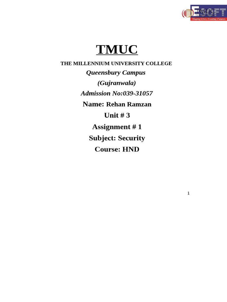 Professional Practice Assignment Overview | PDF | Career & Growth ...