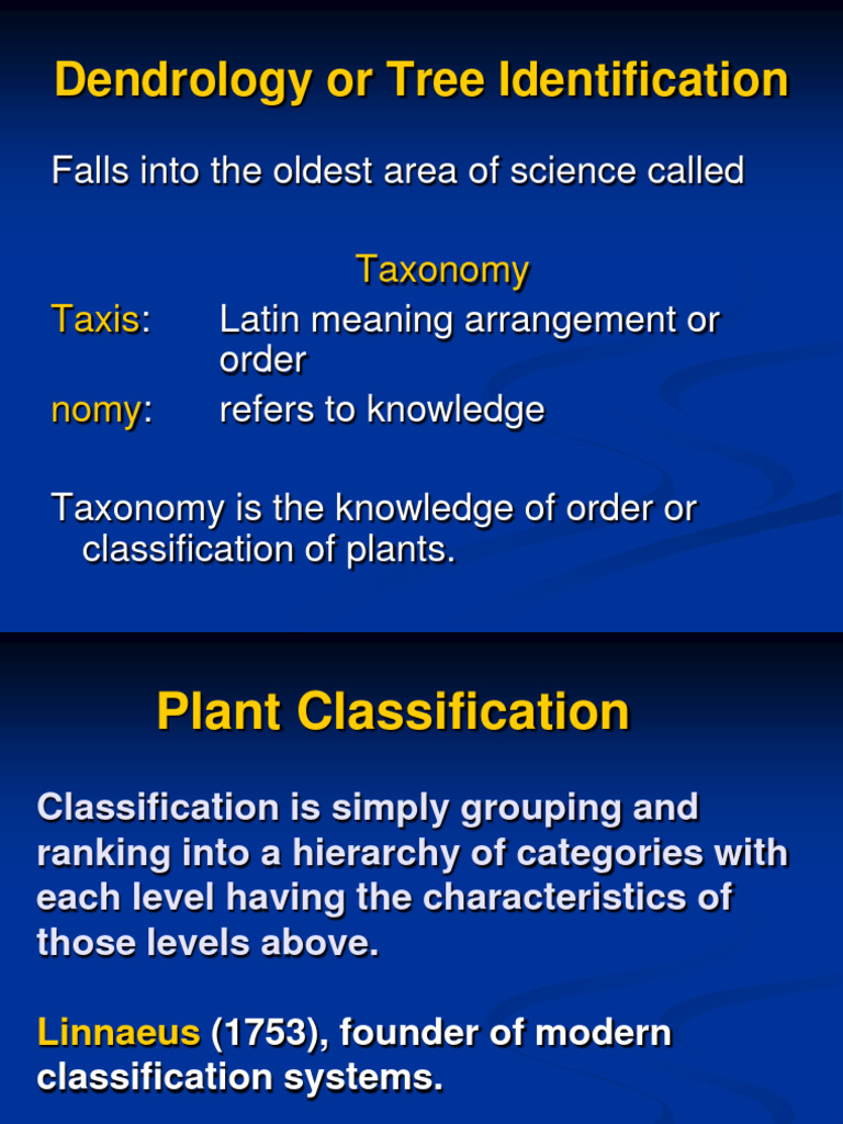 Dendrology Part 2 | PDF | Leaf | Fruit