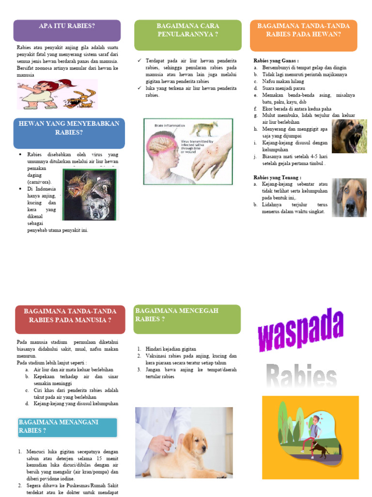 Leaflet Rabies | PDF