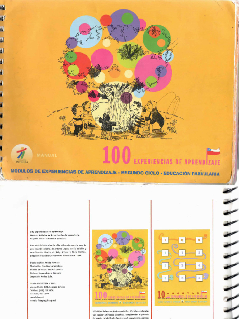 100 Experiencias de Aprendizaje PDF | PDF