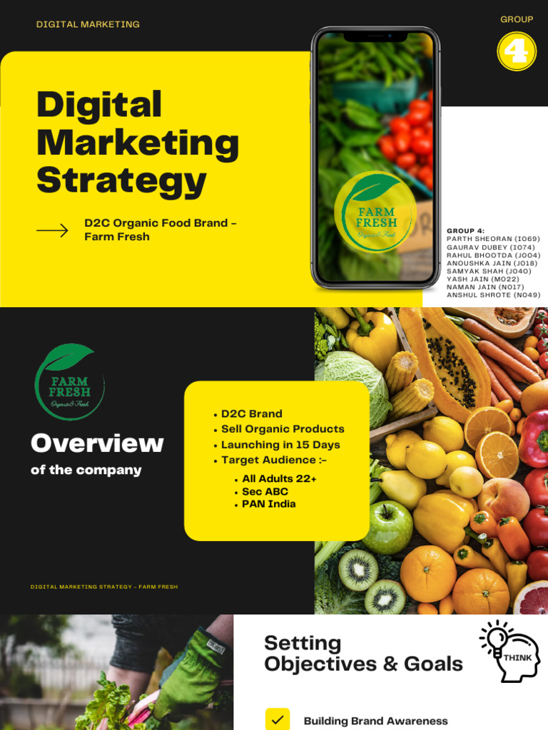 DM Strategy - Farm Fresh | Download Free PDF | Search Engine Optimization | Analytics