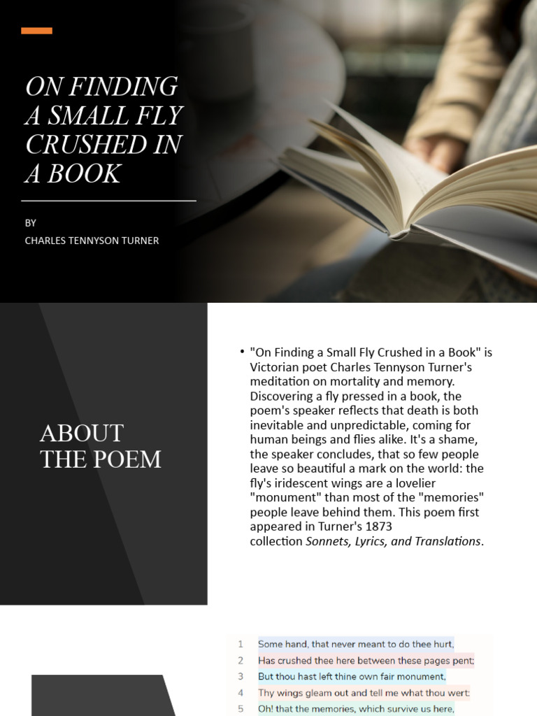 On Finding A Small Fly Crushed in A Book | PDF | Sonnets | Poetry