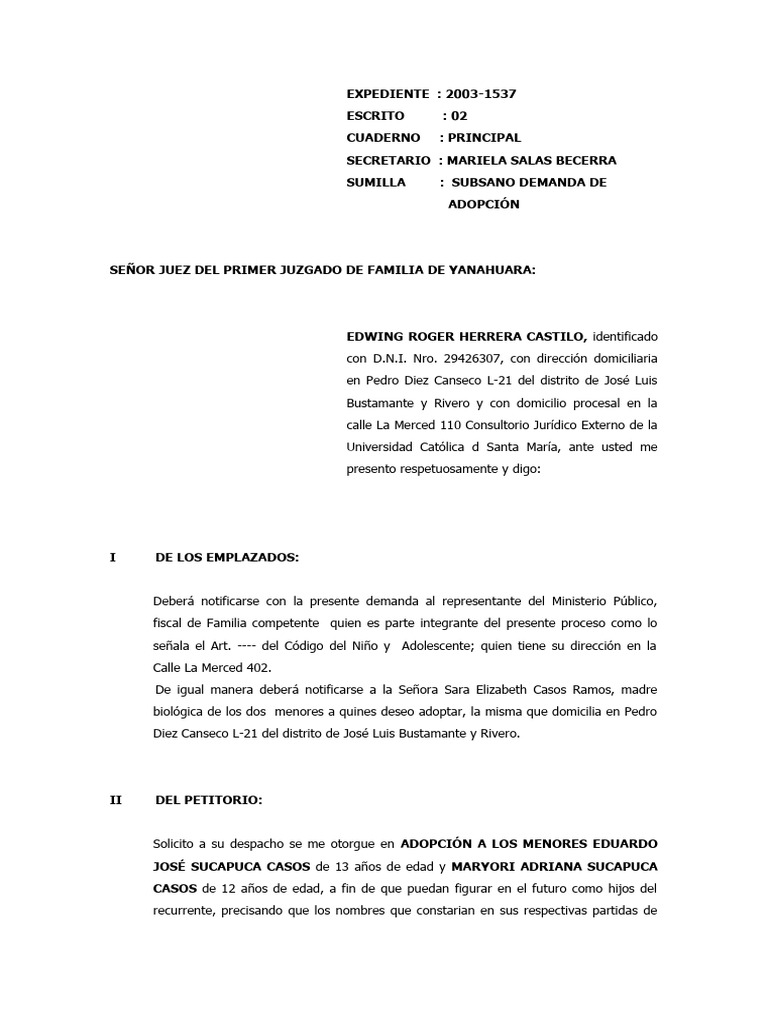 Subsano Demanda de Adopción | PDF