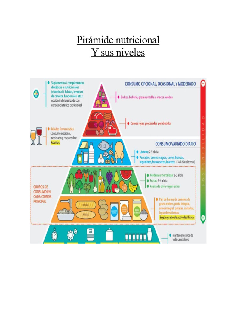 Pirámide Nutricional Oms | PDF