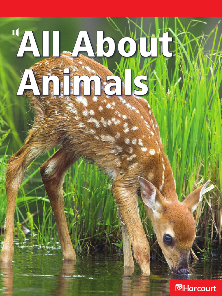 All About Animals | PDF