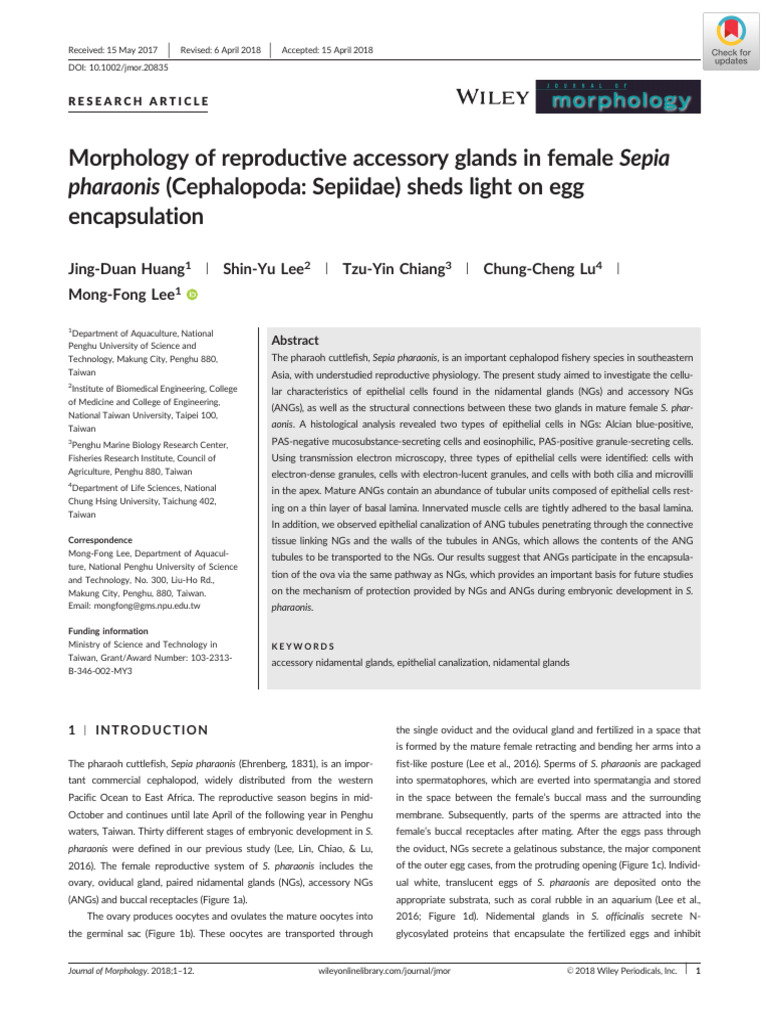 Morphology of The Accessory Reproductive Glands of Sepia Pharaonis@jmor ...