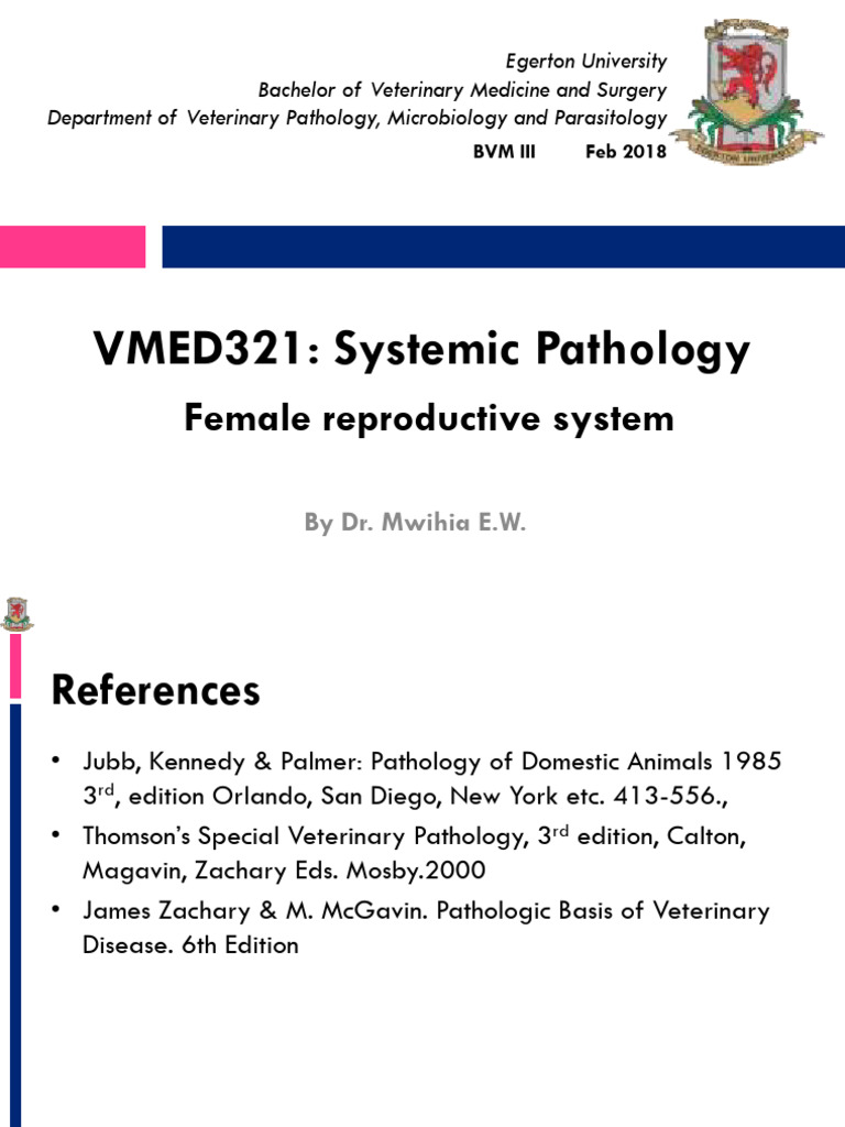 Female Reproductive System - Slides | PDF