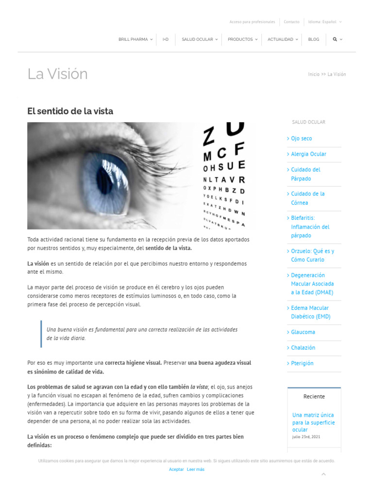 La Visión - El Sentido de La Vista | PDF