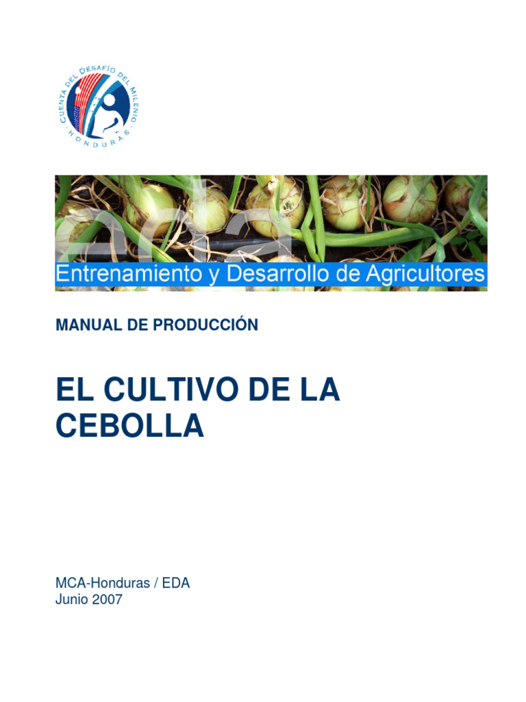 EDA Manual Produccion Cebolla 06 07 | PDF | Agricultura | Riego