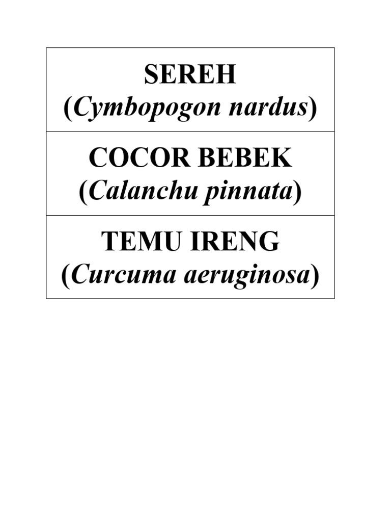 Name Tag Toga 2 | PDF