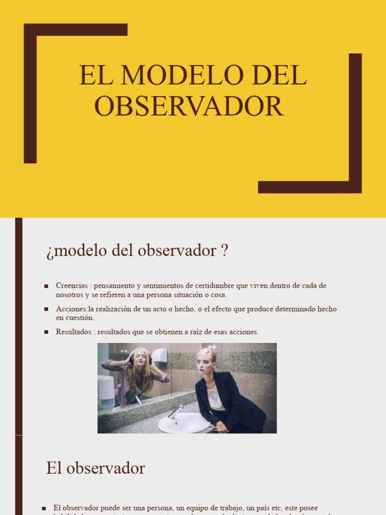El Modelo Del Observador | PDF