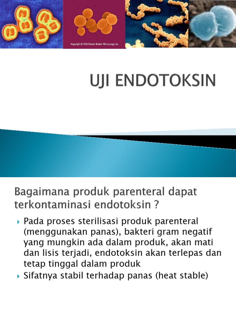 12 Uji Endotoksin | PDF