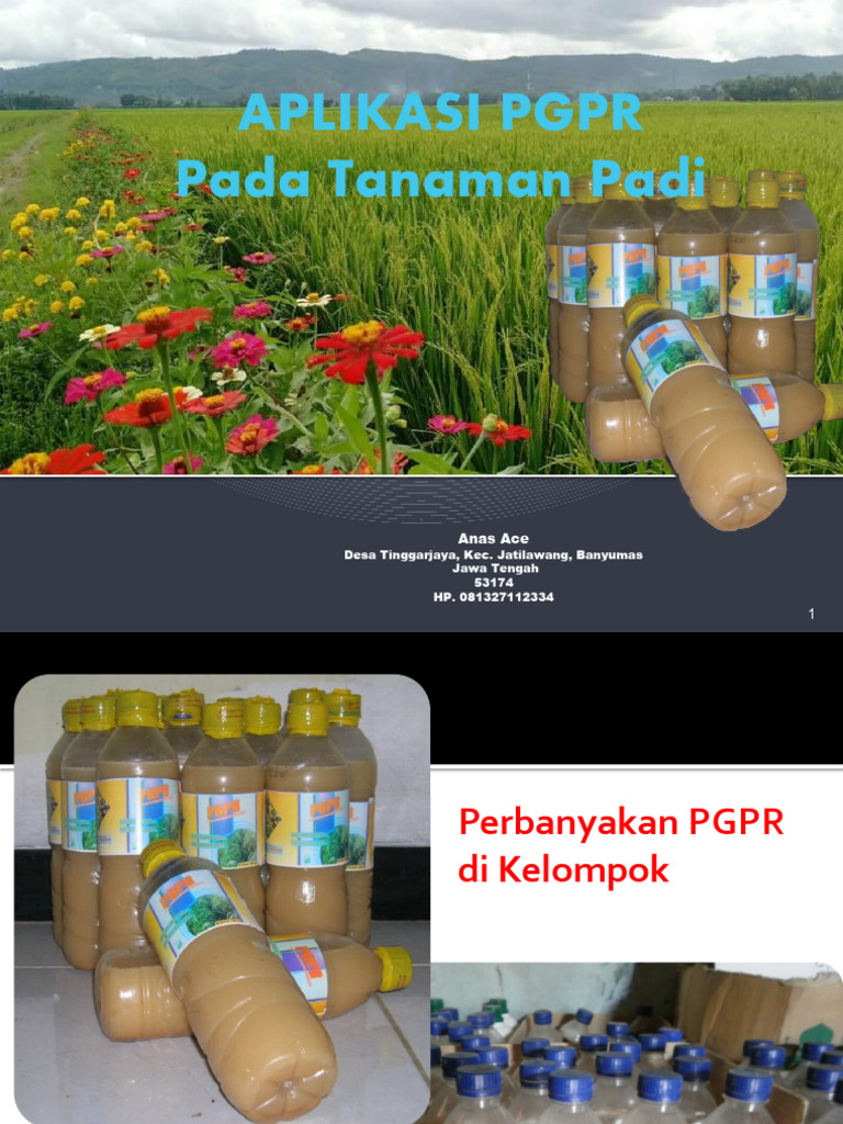 Aplikasi PGPR | PDF | Technology & Engineering