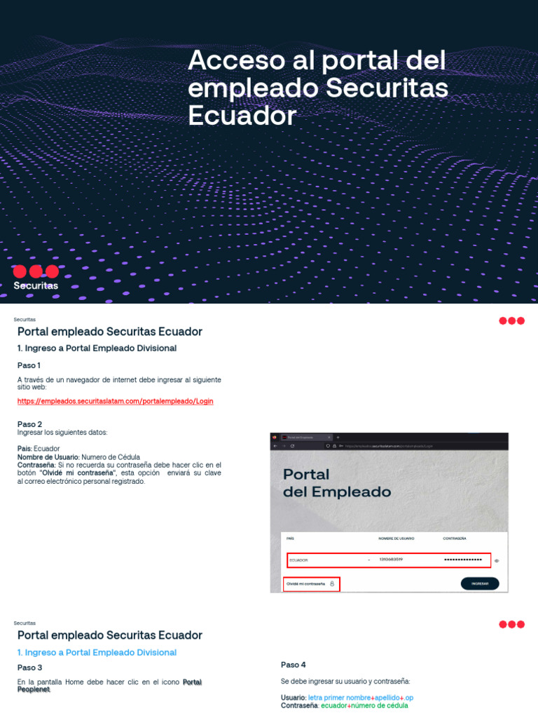 Guía Acceso Portal Empleado Securitas | PDF | Sitios web | Contraseña