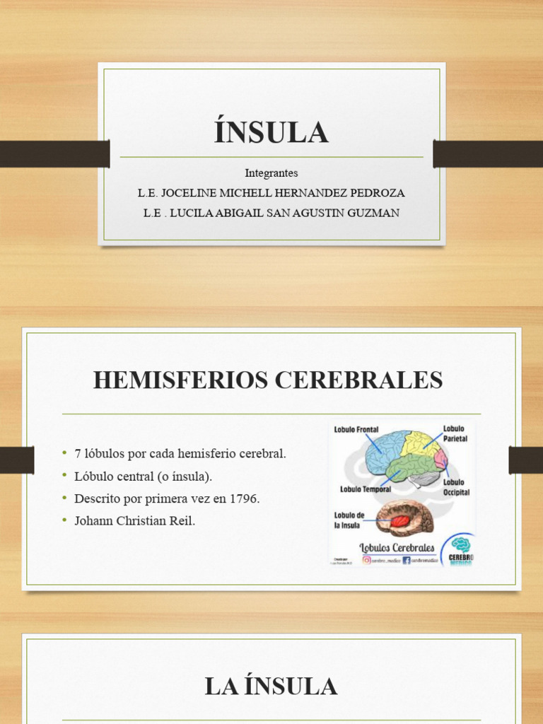 Funciones y Anatomía de la Ínsula Cerebral | PDF | Salud y bienestar ...