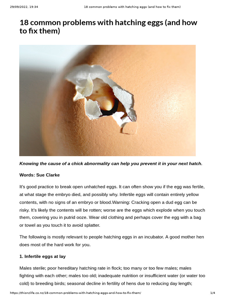 18 Common Problems With Hatching Eggs (And How To Fix Them) | PDF ...