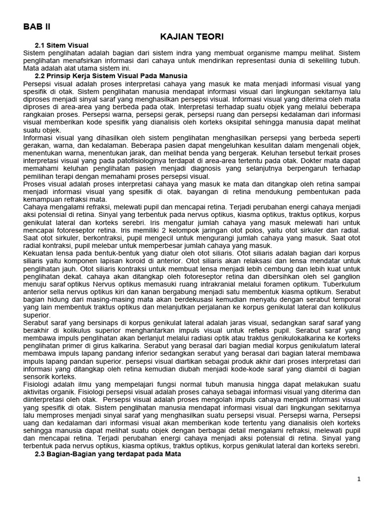 Fungsi dan Proses Sistem Visual Manusia | PDF | Komputer