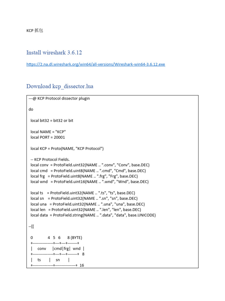 KCP Protocol Packet Capture Guide | PDF | Computer Architecture ...