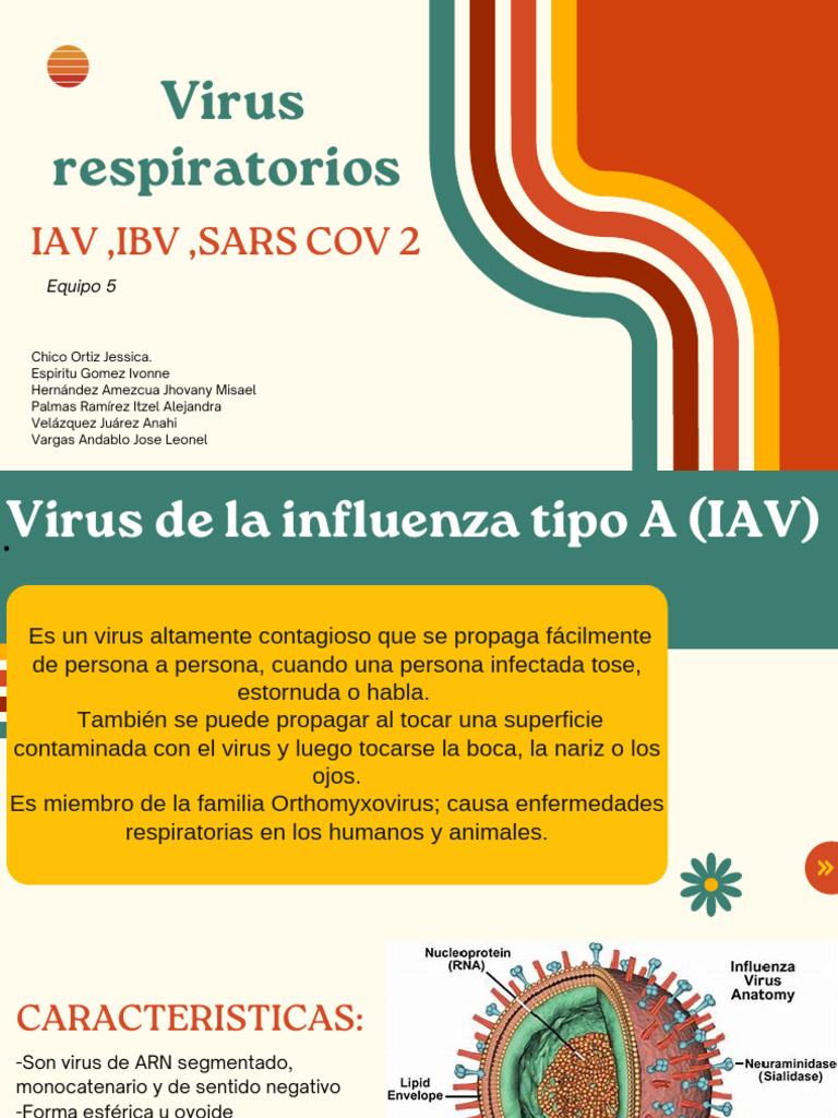 Virus Respiratorios: IAV, IBV, SARS-CoV-2 | PDF | Influenza | Virus