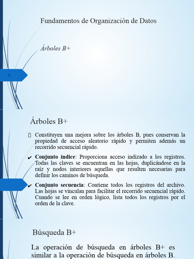 Árboles B+ | PDF | Informática | Datos de computadora