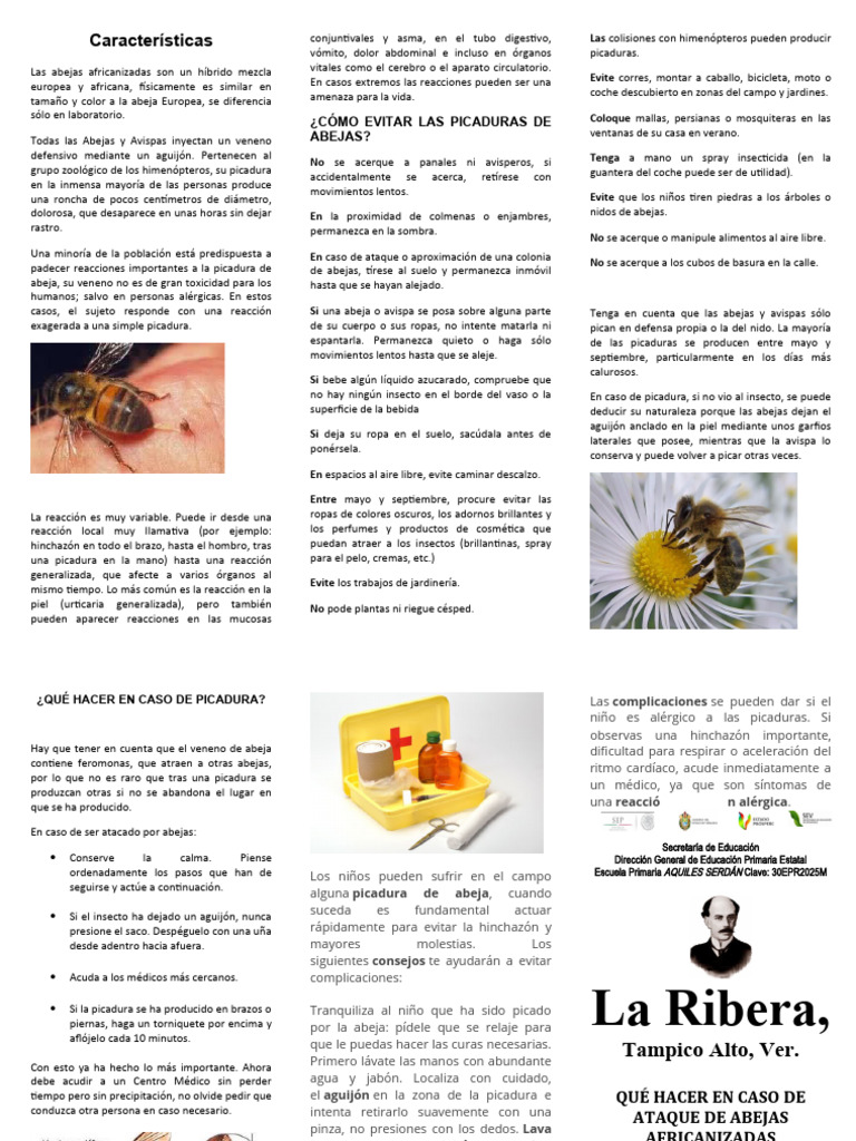 TRIPTICO SOBRE ABEJAS | PDF