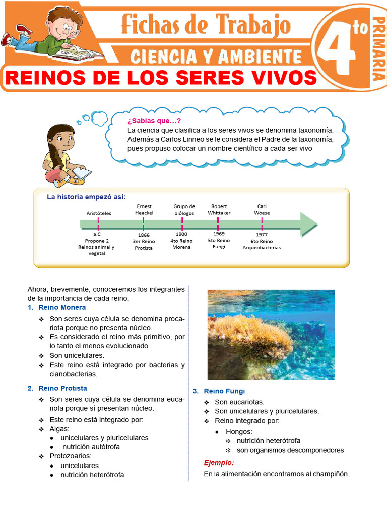 Reinos de Los Seres Vivos para Cuarto Grado de Primaria | PDF