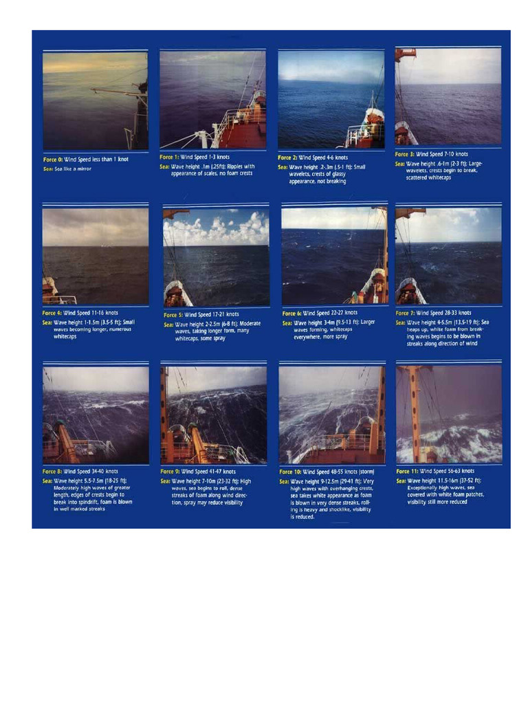 Sea Scale Picture | PDF