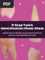 Triadan Tooth Numbering Guide | PDF | Dental Anatomy | Dentistry