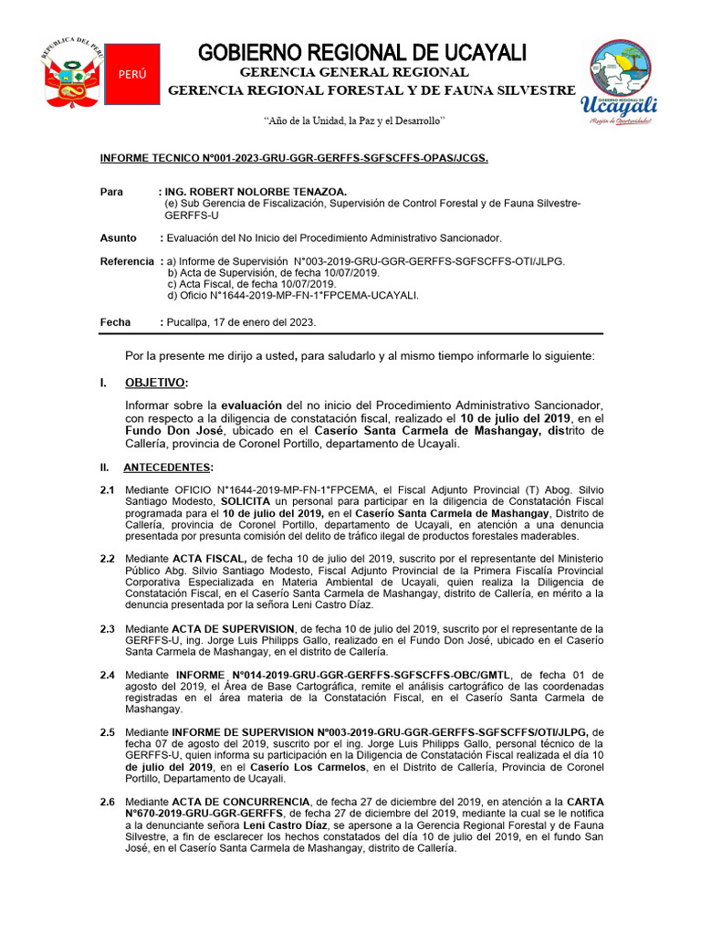Informe Tecnico N°001-2023-Archivo-Caso-Exp-004-2019-Caserio Sta. Carmela - Calleria | PDF ...