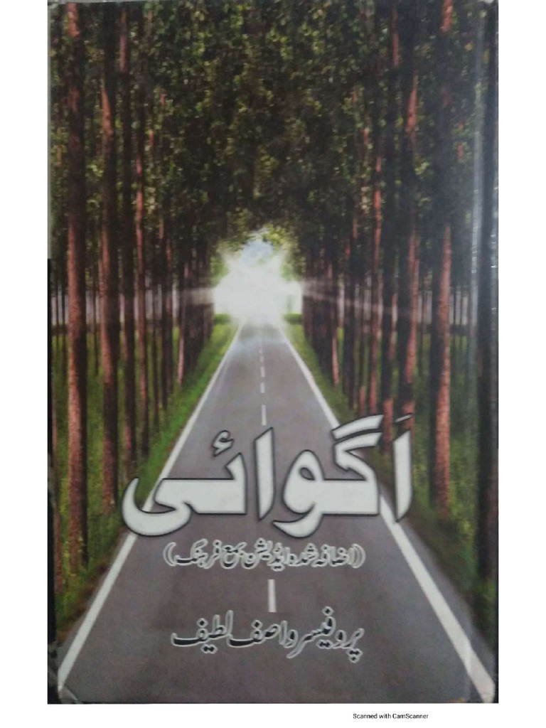 پنجابی - agwahi Pms Css Punjabi Book | PDF