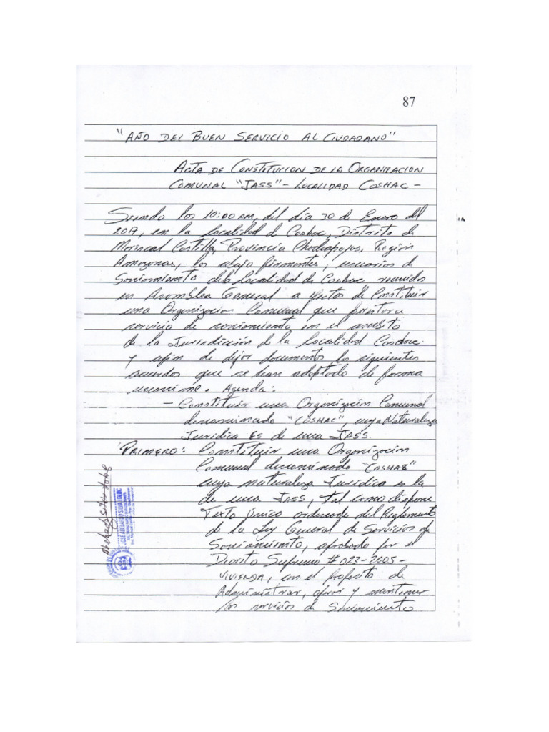 Acta de Cosntitucion Jass | PDF