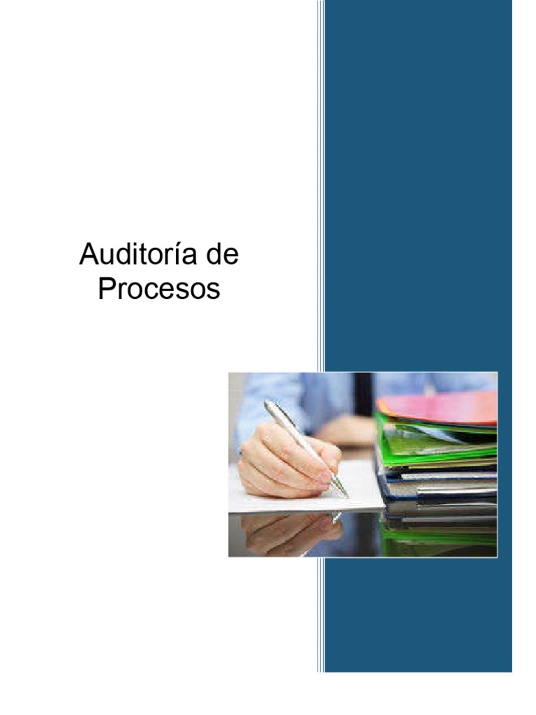 Auditoria de Procesos | PDF