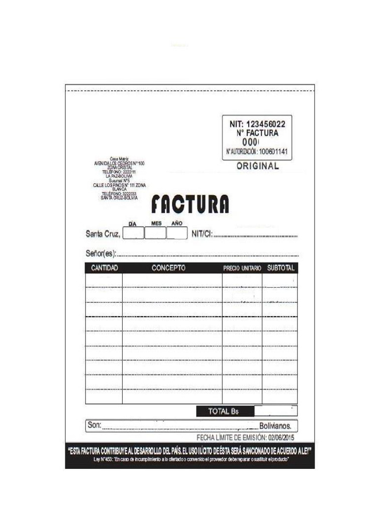 IMAGEN FORMATO FACTURA PDF | PDF