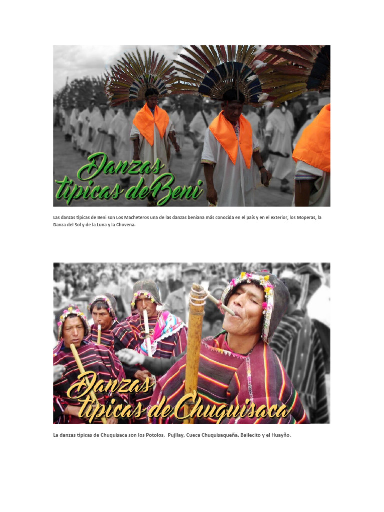 Danzas Tipicas De Bolivia Pdf