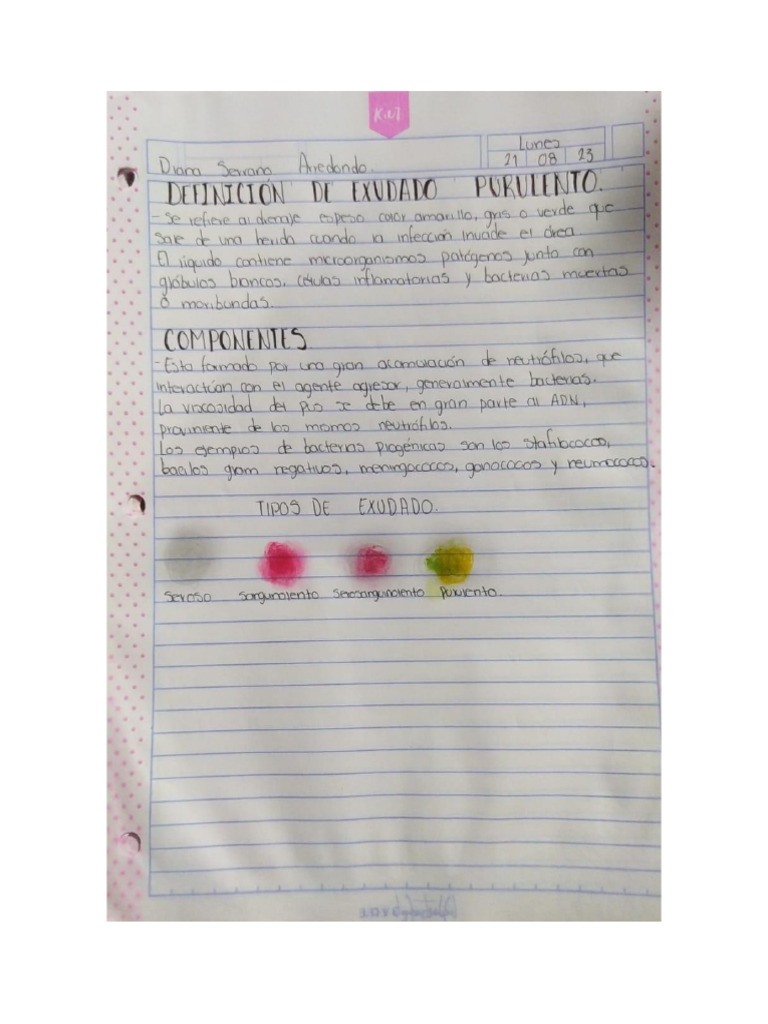Componentes del exudado purulento | PDF