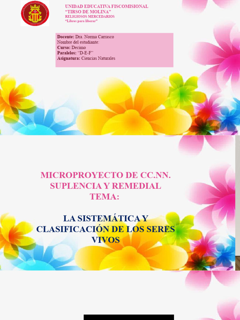 Microproyecto CC - Nn. Remedial y Suplencia | PDF | Salud y bienestar