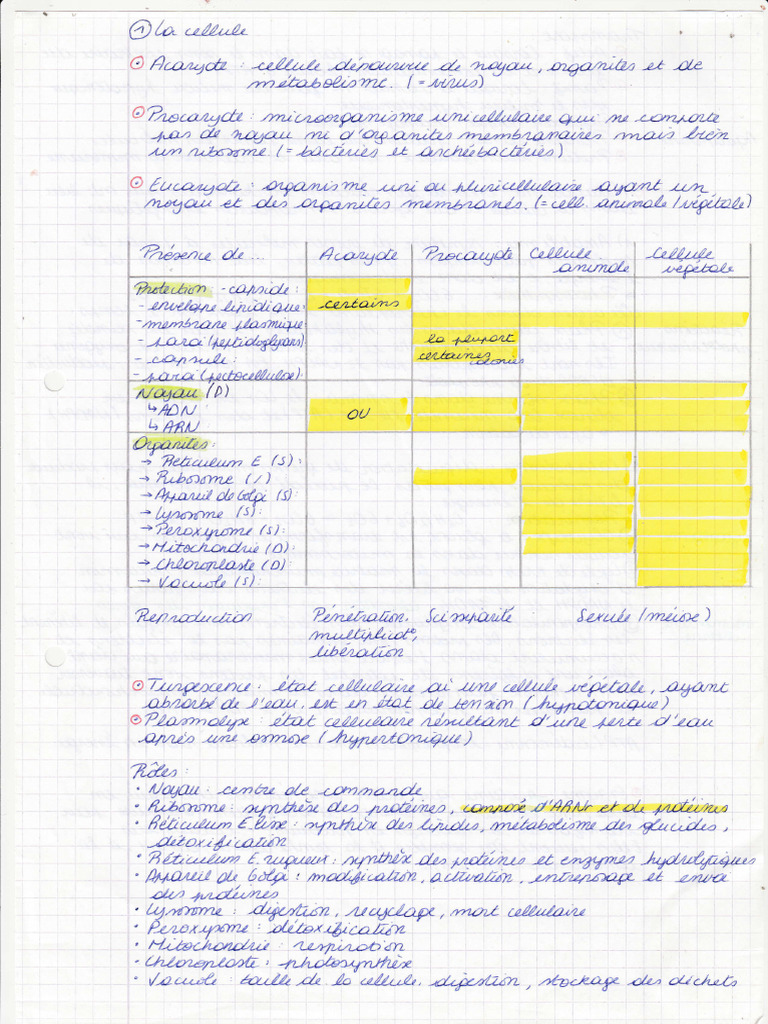 Synthèse de Biologie - EXMD 2020 | PDF | Latin Script | Orthography