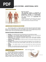 GCSE PE Muscular System Revision Guide | PDF | Anatomical Terms Of ...
