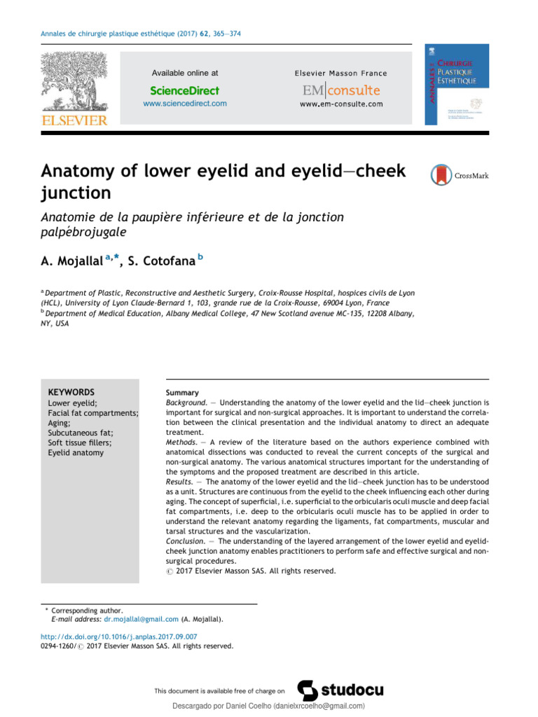 Anatomy of the Lower Eyelid | PDF | Vein | Human Head And Neck
