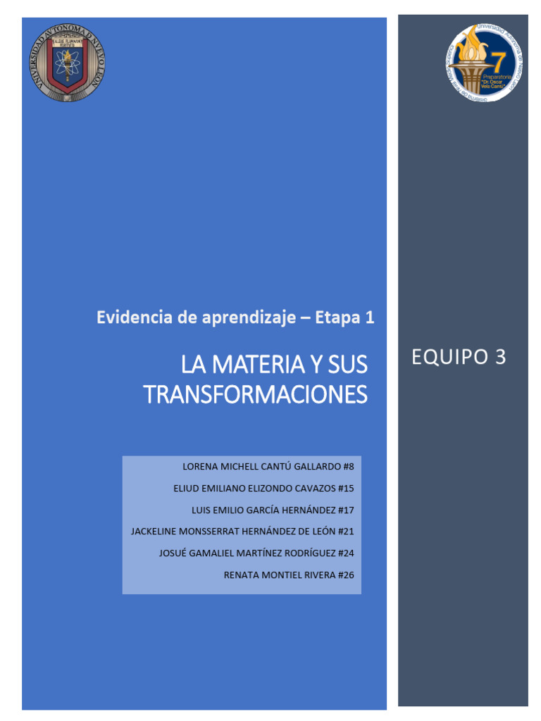 EQUIPO-3 EV1 LMyT | PDF | Contaminación | Entorno natural