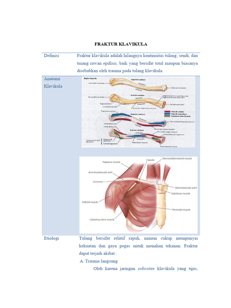 Resume FRAKTUR KLAVIKULA | PDF