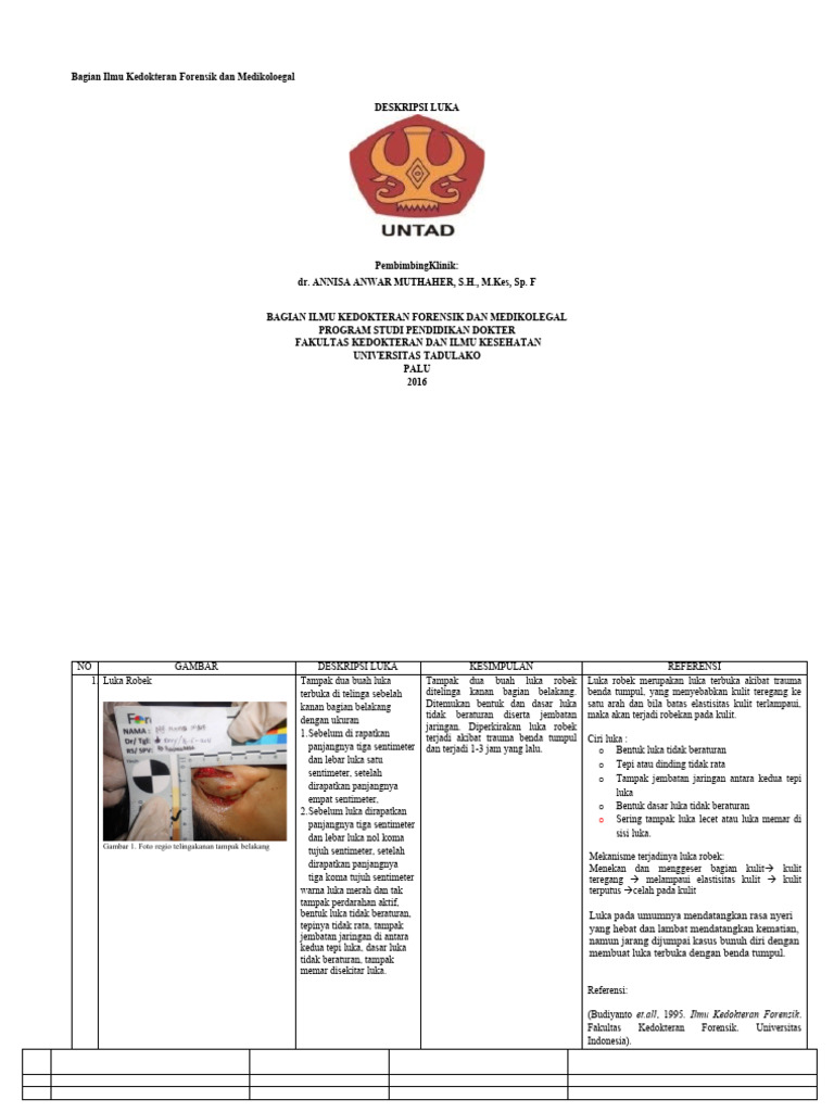 Deskripsi Luka Baru | PDF
