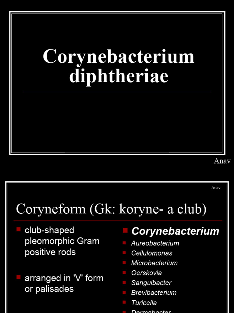 Corynebacterium diphtheriae Overview | PDF