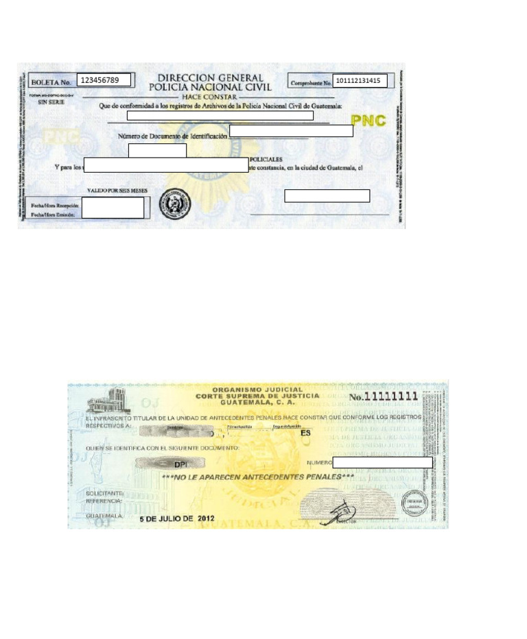 Antecedentes Penales y Policiacos | PDF