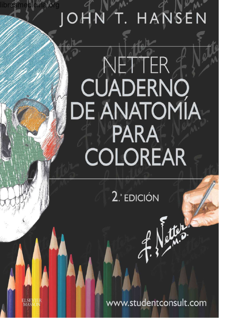 Netter Para Colorear 230829 095211 Pdf