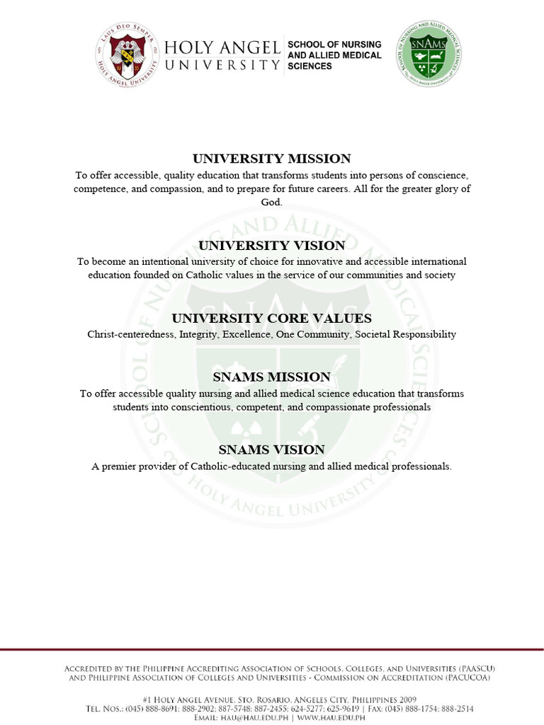 Mission Vision Pdf