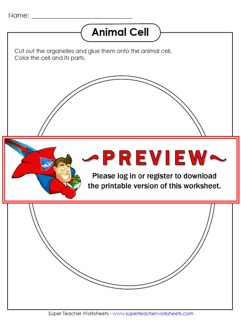 Animal Cell Cutout | PDF