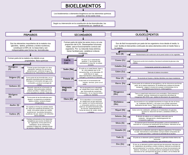 Mapa Conceptual de Los Bioelementos | PDF | Biomoléculas | Elementos químicos