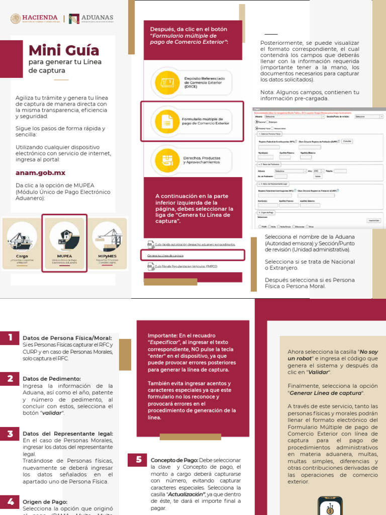 Triptico MUPEA | PDF